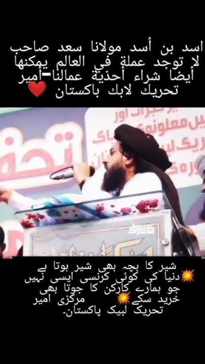 الأسد الأسد مولانا سعد لا توجد عملة في العالم يمكنها أيضا شراء أحذية