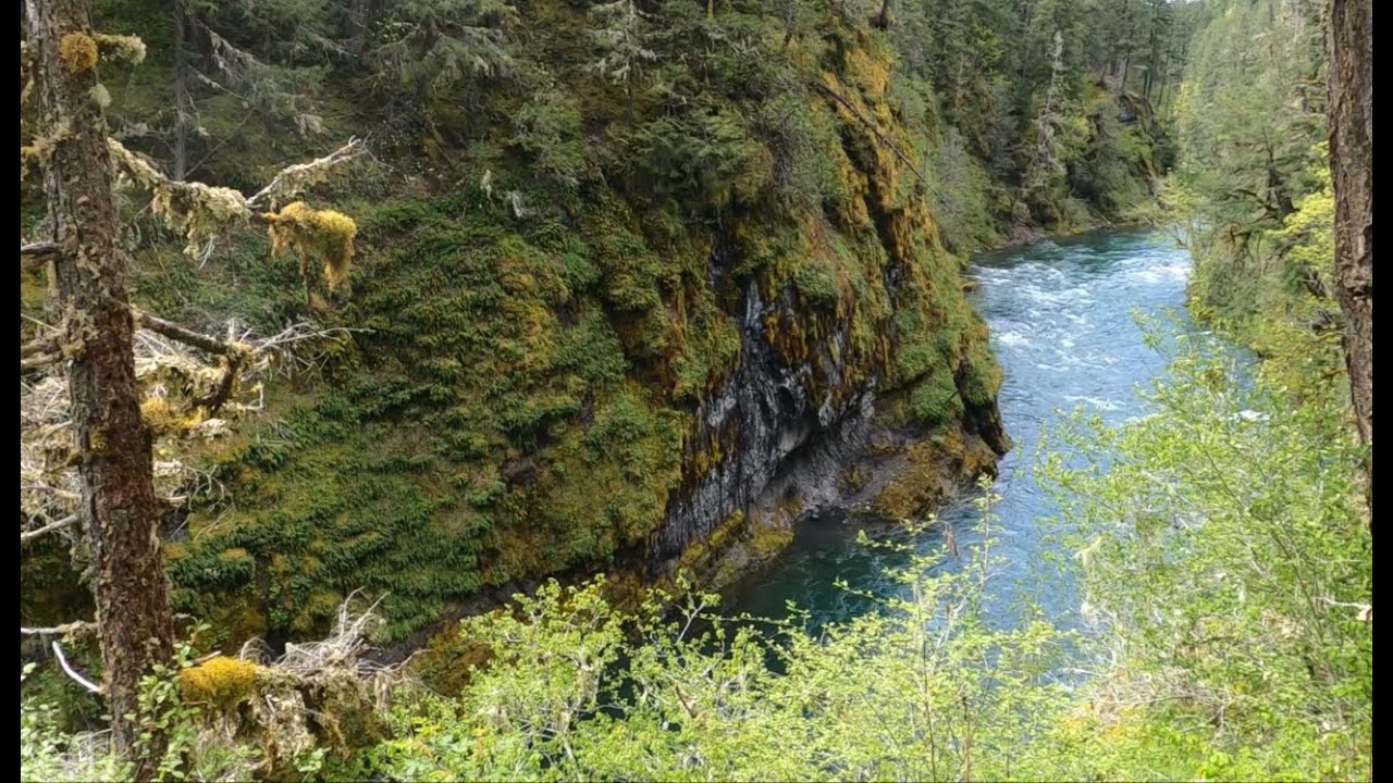Cowichan River Provincial Park, Vancouver, B.C. - YouTube