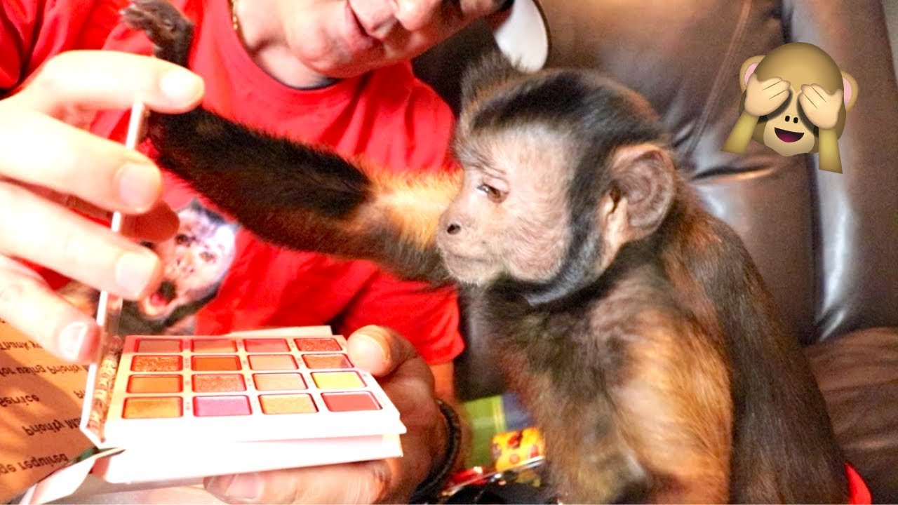 Monkey Mail Time! Kylie Cosmetics | Snacks | MORE! - YouTube