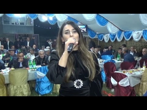 Aygün Lerikli Masallı Toyu