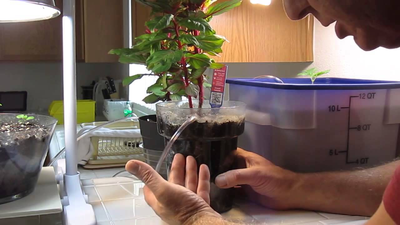 Air Injection Technology for SOIL update ( Minimal root balling feature ...