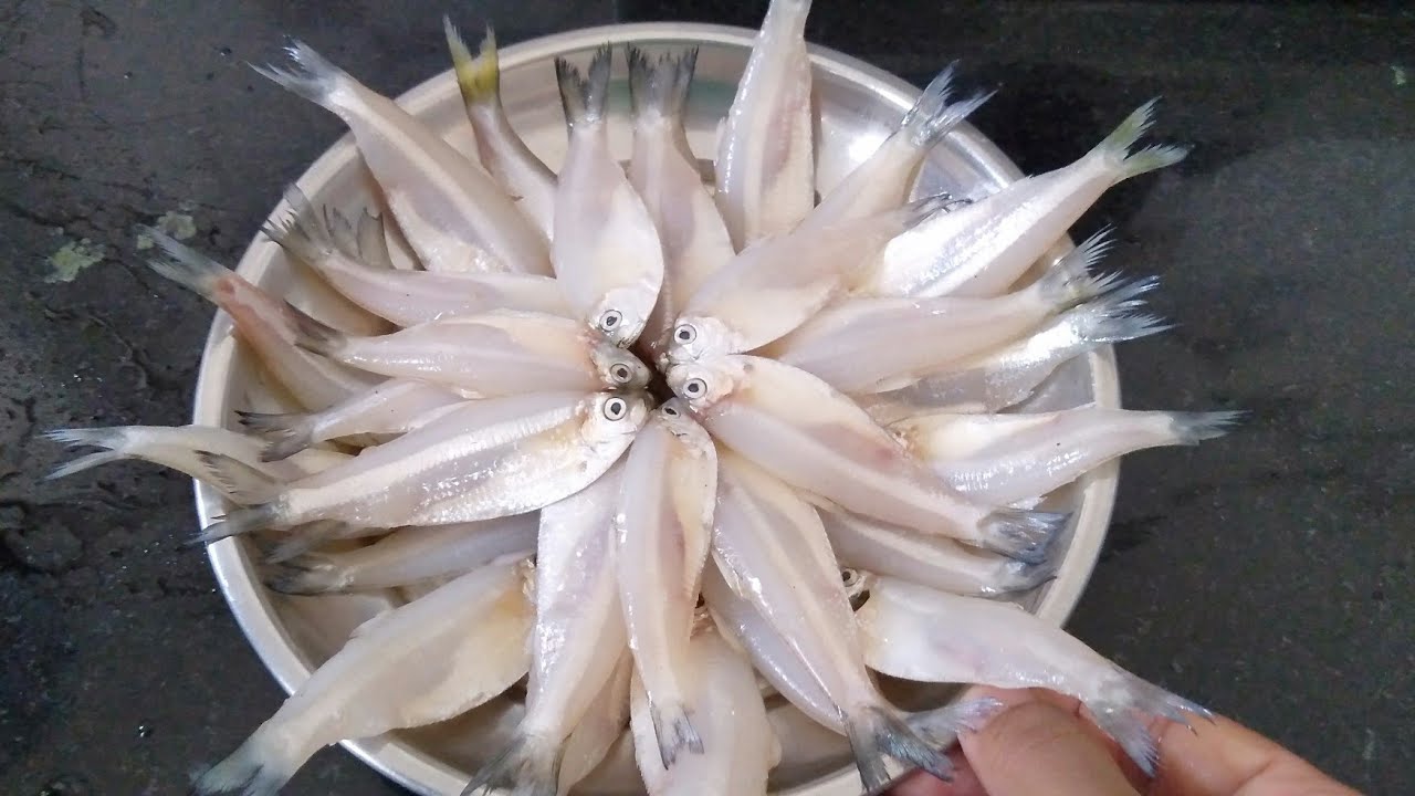 Small Fish Salan/curry | Easy Recipe | Sardine Fish🐟🐟🐟🐟 - YouTube