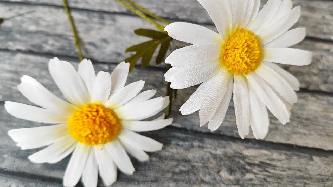 how to make oxeye daisy paper flower @kiran.gurupanchayan #flowercraft ...