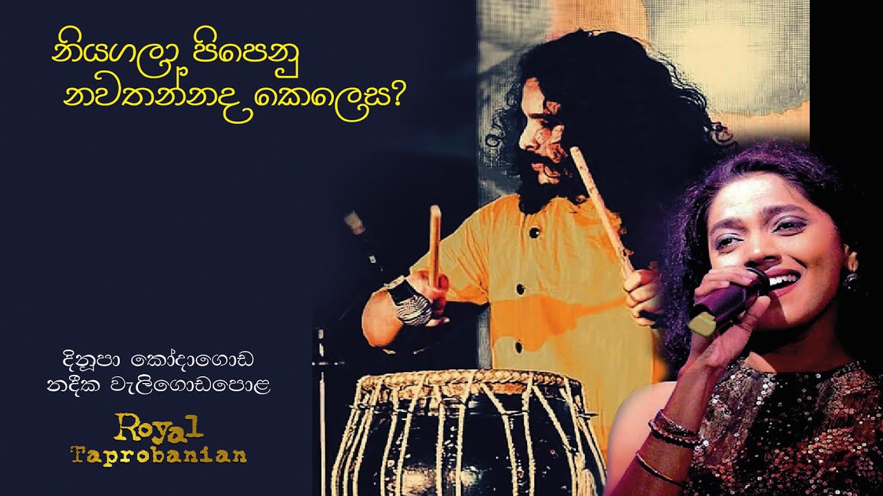 නියගලා කවි - දිනූපා කෝදාගොඩ ,නදීක වැලිගොඩපොල | Royal Taprobanian - YouTube