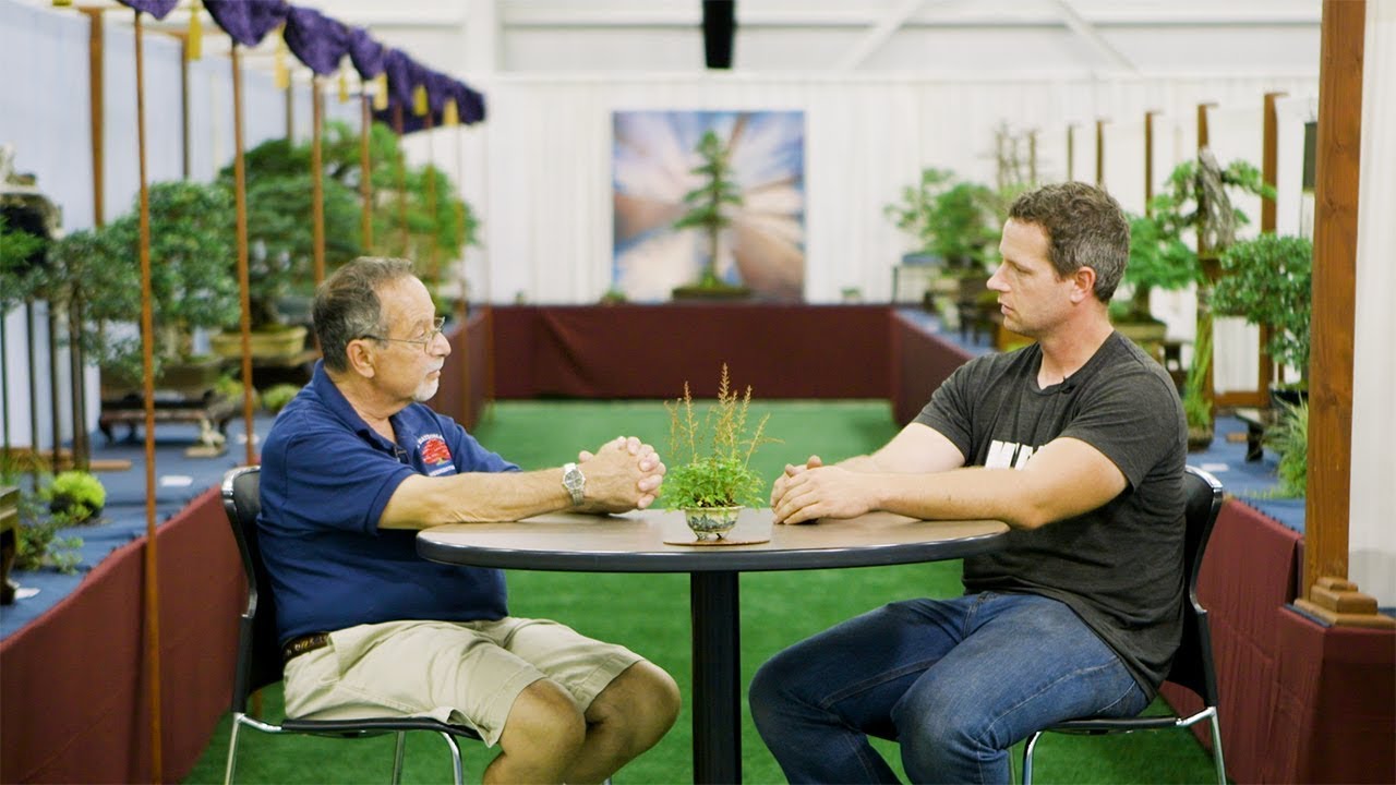 Interview with Bill Valavanis - YouTube