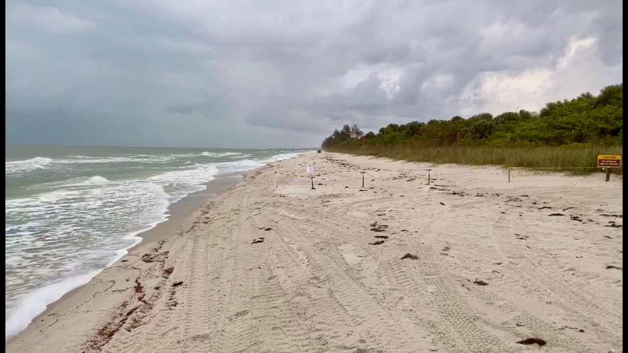 Beaches Reopen in Collier County, FL 04.30.20 - YouTube