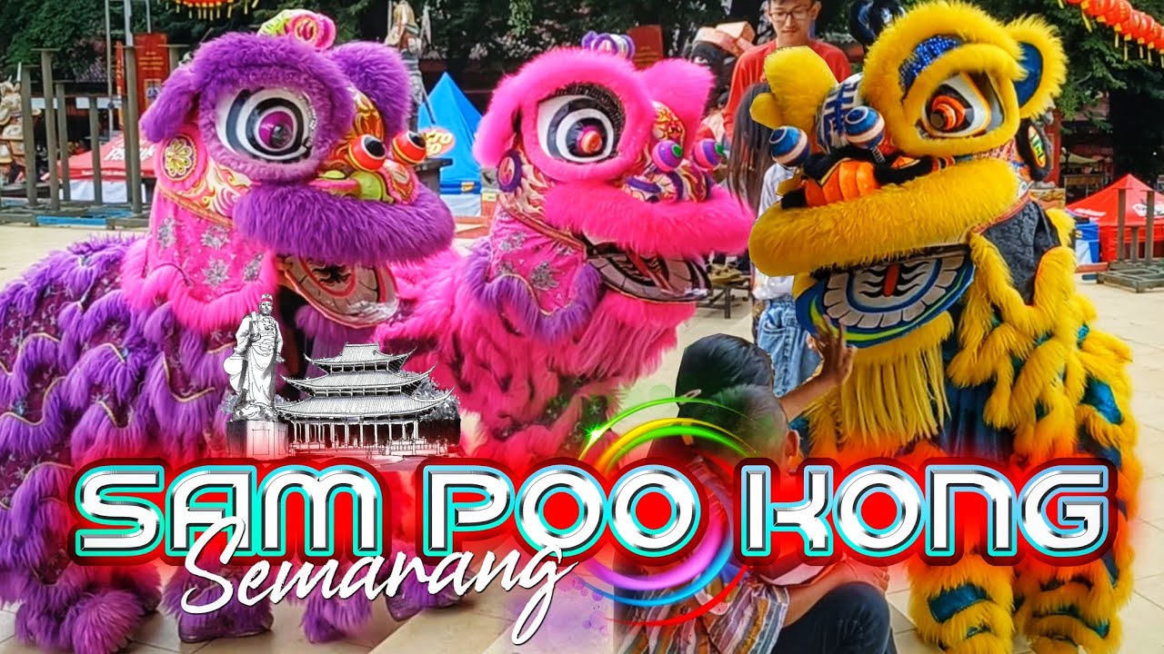 SAM POO KONG 2023 ADA BARONGSAI WARNA WARNI - YouTube