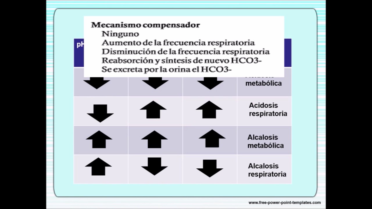 interpretación de gasometría arterial - YouTube
