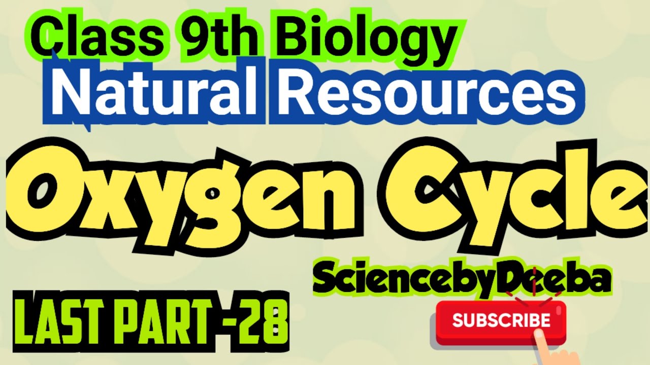 Natural Resources | Biogeochemical Cycle | OXYGEN CYCLE | Class 9 ...