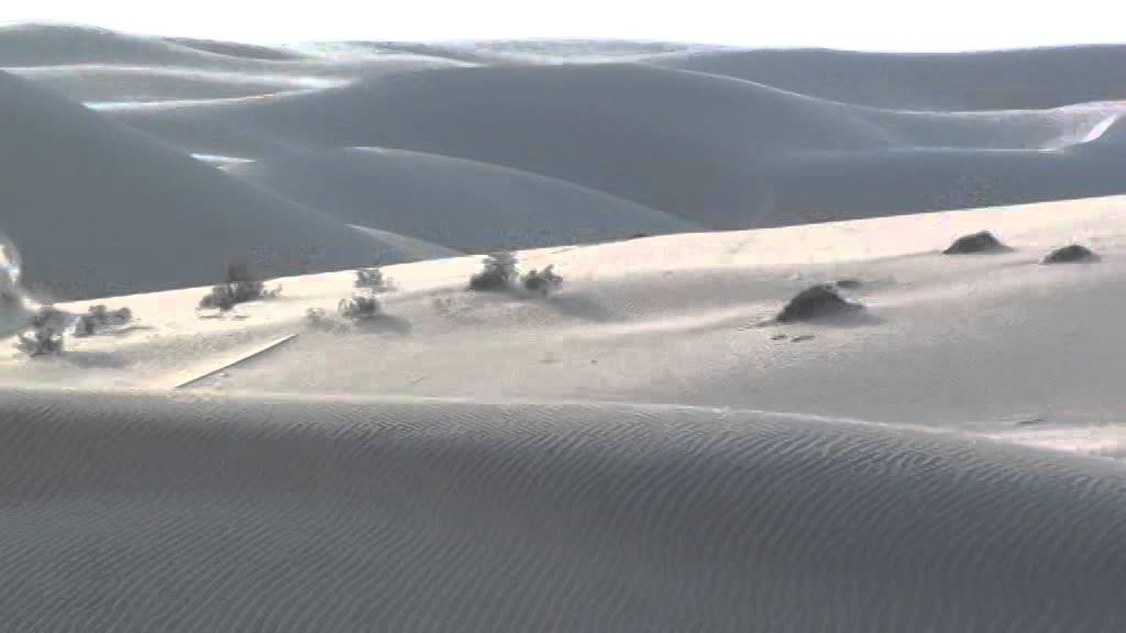 SAND-X T-ATV Military patrolling vehicle - YouTube