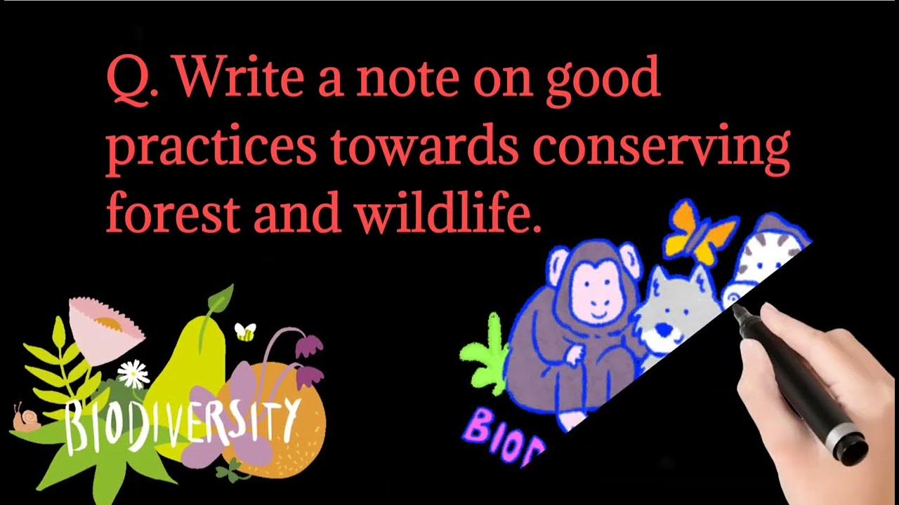 Write A Note On Good Practices Towards Conserving Forest And Wildlife write-a-note-on-good-practices-towards-conserving-forest-and-wildlife