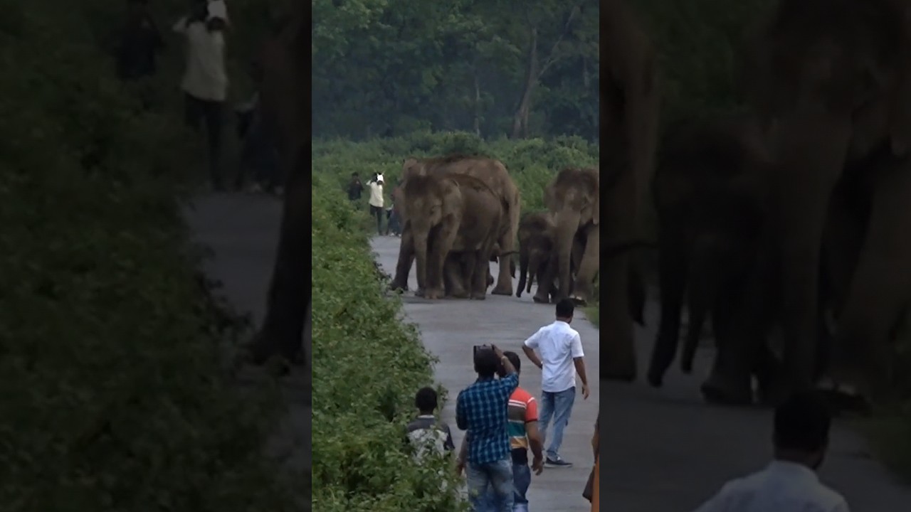 1 August 2023 - YouTube