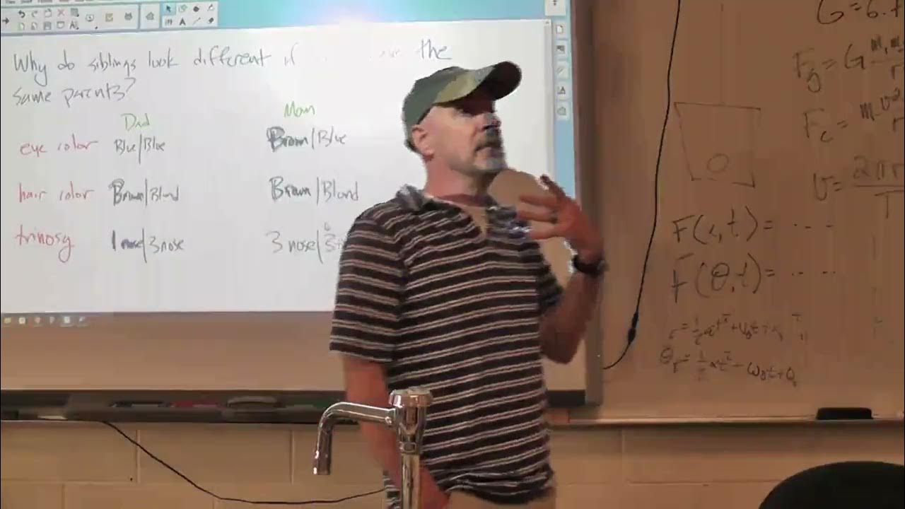 Why do siblings look different from their parents? - YouTube