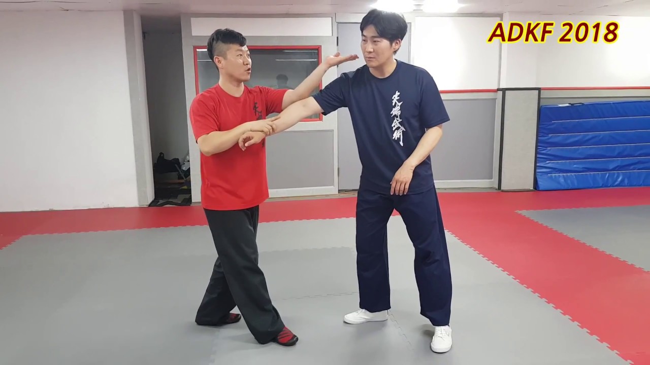 장룡팔극권 대전 - ADKF 서울사당 [180827] - YouTube