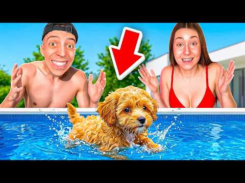 unser HUND lernt das ERSTE MAL schwimmen! 😱