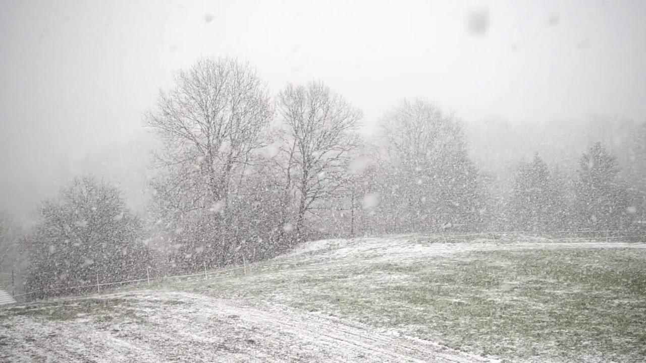 Relaxing Snowfall 4 Hours - Sound of Light Wind Breeze and Falling Snow ...
