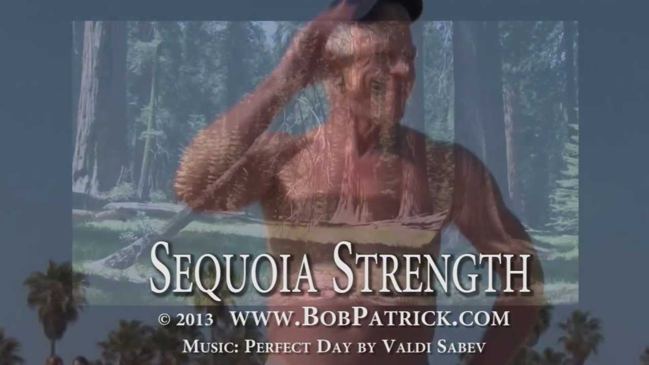 Sequoia Strength: Relections from Pleasure Coach Bob Patrick - YouTube
