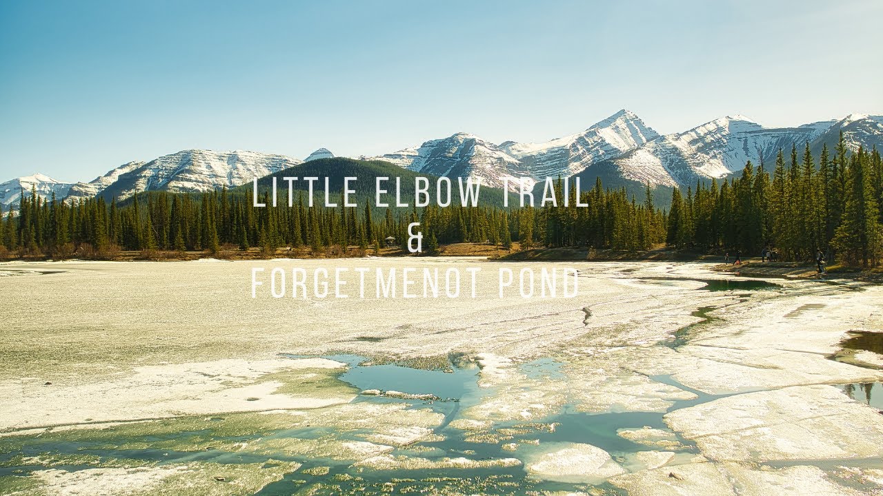 LITTLE ELBOW TRAIL & FORGETMENOT POND |KANANASKIS, ALBERTA Canada - YouTube