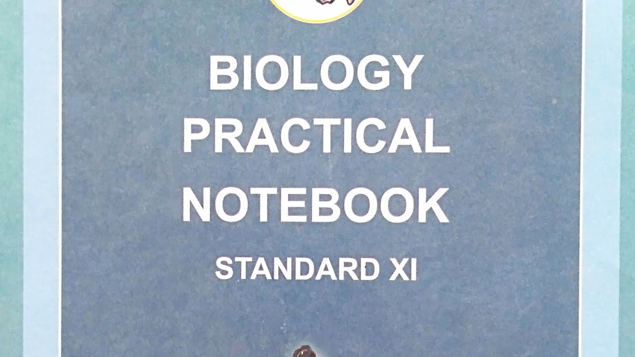Biology practical notebook class 11 #studystarsandhelper #bio #biology ...