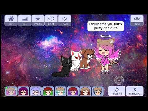 The puppy is cute and the black Wolf is jakey and then the white is ...