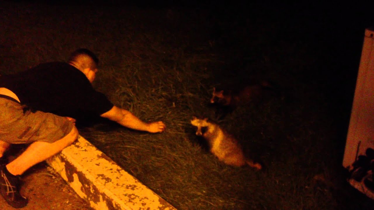 First encounter with the benjo beast - YouTube