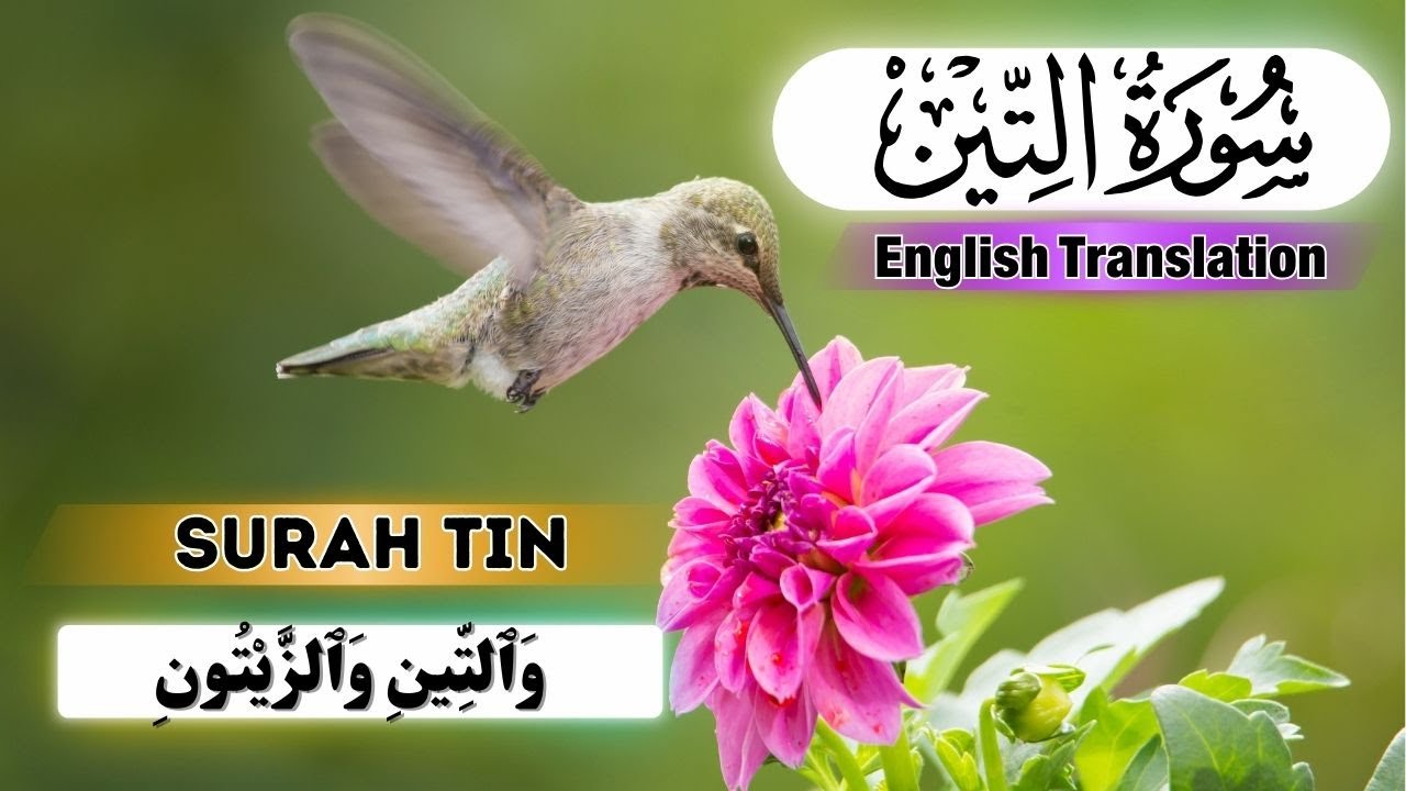 Surah Tin Quran Recitation (Al-Tin) Surah Tin Tilawat || Islamic Surah ...