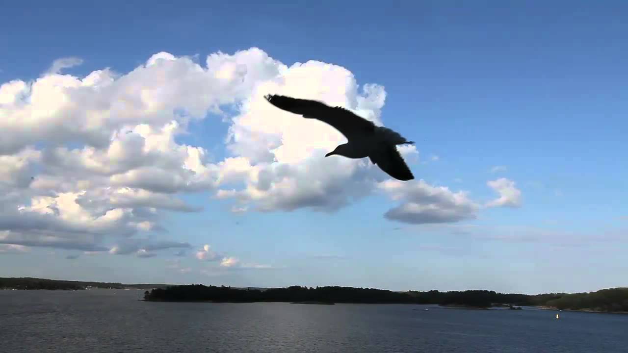 Mythology Example The Benu Bird - YouTube