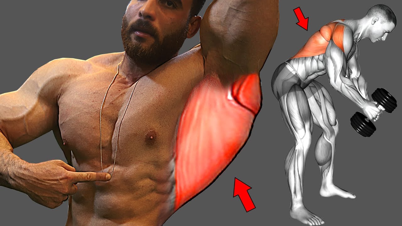 Lats workout - 6 Best Exercises To Build A Big Lats - YouTube