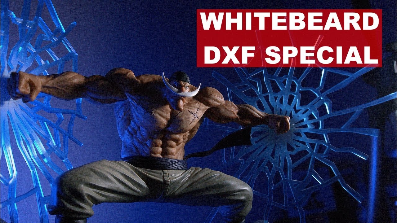 The One Piece is Real! - DXF Special Edward Newgate (Whitebeard) Review ...