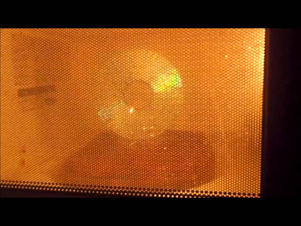 Cd Crazy Microwave Boom - YouTube