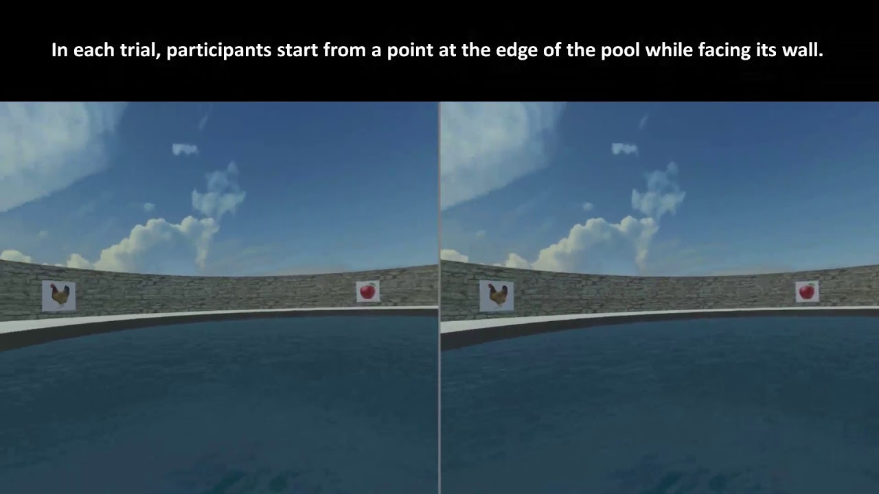 Effects of VR FOV Restriction on Spatial Learning and VR Sickness [CHI ...