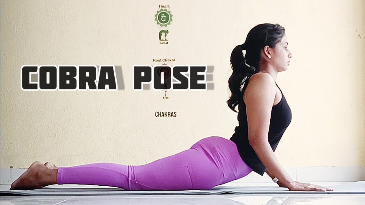 Bhujangasana | cobra pose yoga | step by step for beginners ...