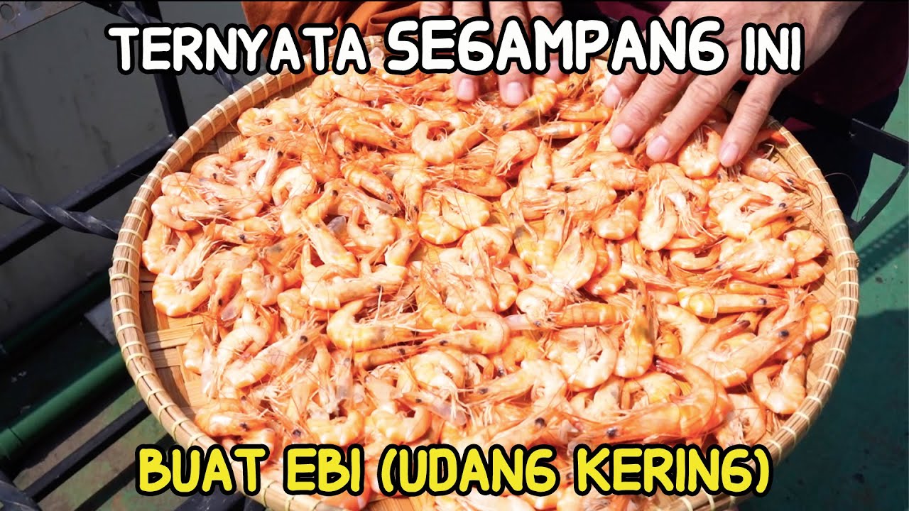 Ternyata Segini GAMPANGNYA Buat EBI ( UDANG KERING ) Sendiri Di Rumah - YouTube