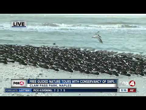 Volunteer Naturalists with Conservancy of SW Florida offer free guided nature tours daily in Naples