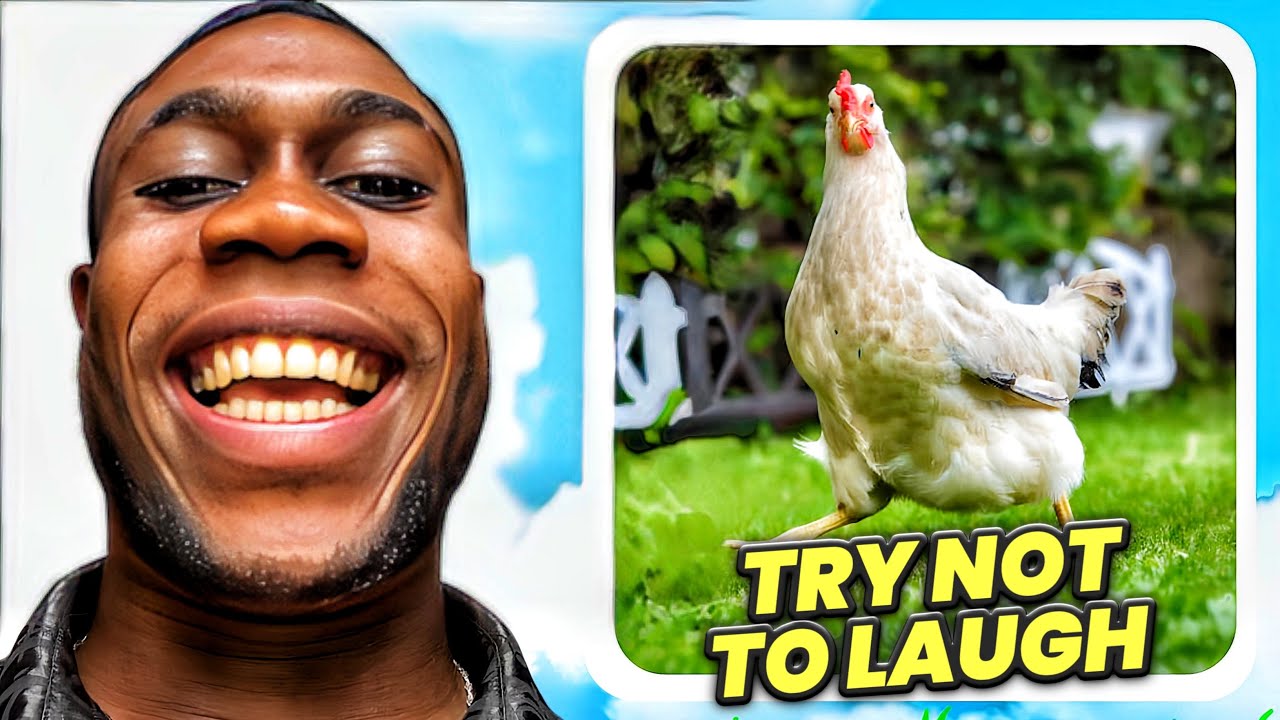 The Hardest try not to laugh of the year!!!! - YouTube