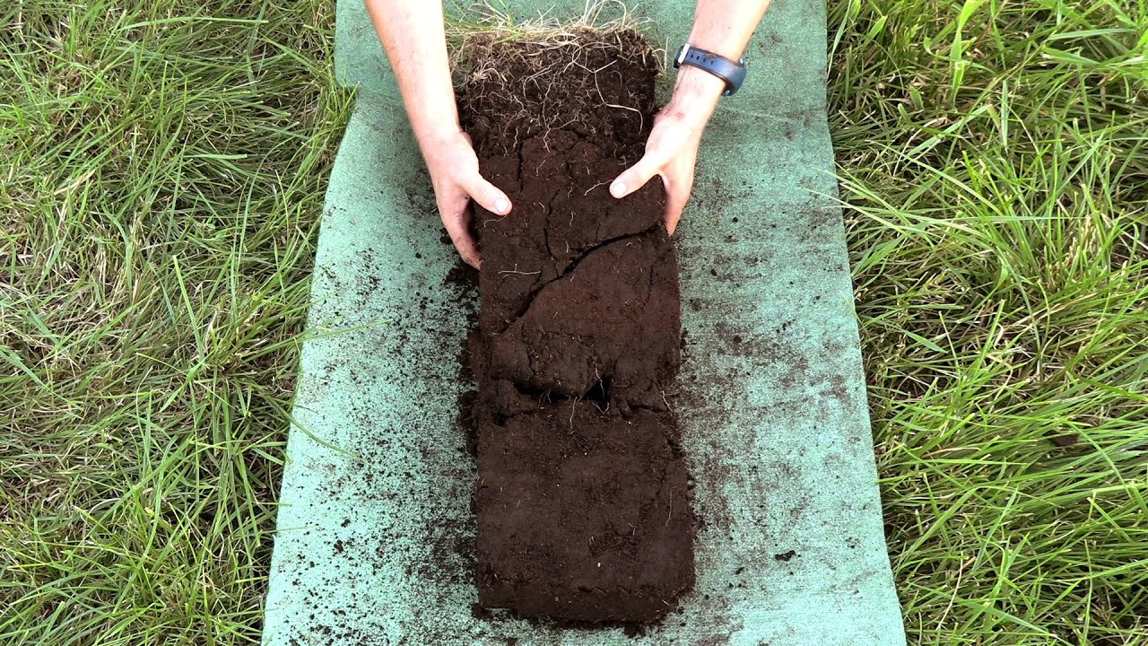 4. Field Methods II: The Soil Monolith - YouTube