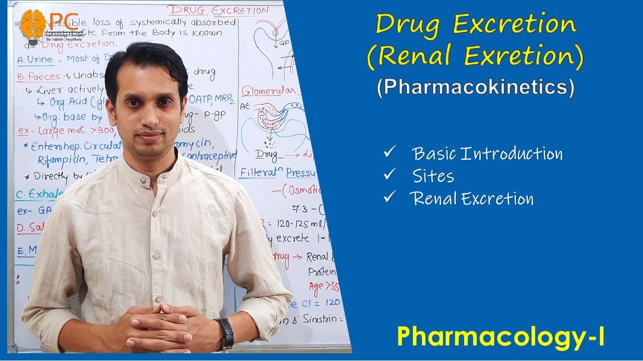 Pharmacokinetics (Part 12): Drug Excretion & Renal Excretion | Drug ...