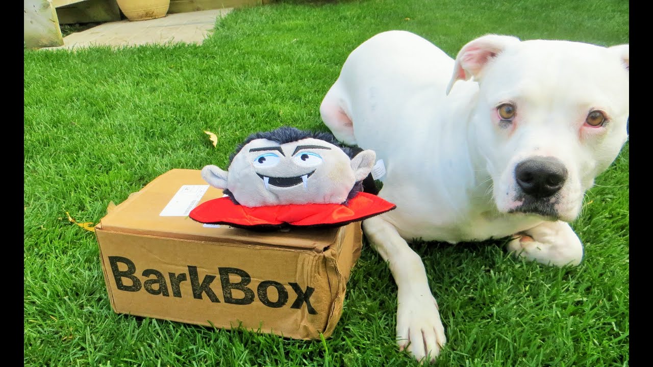 BARKBOX UNBOXING OCTOBER 2015 - YouTube