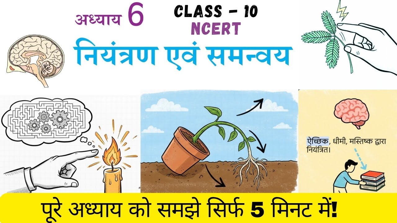 Control and Coordination - नियंत्रण एवं समन्वय | chapter - 6 class 10 science in hindi - YouTube