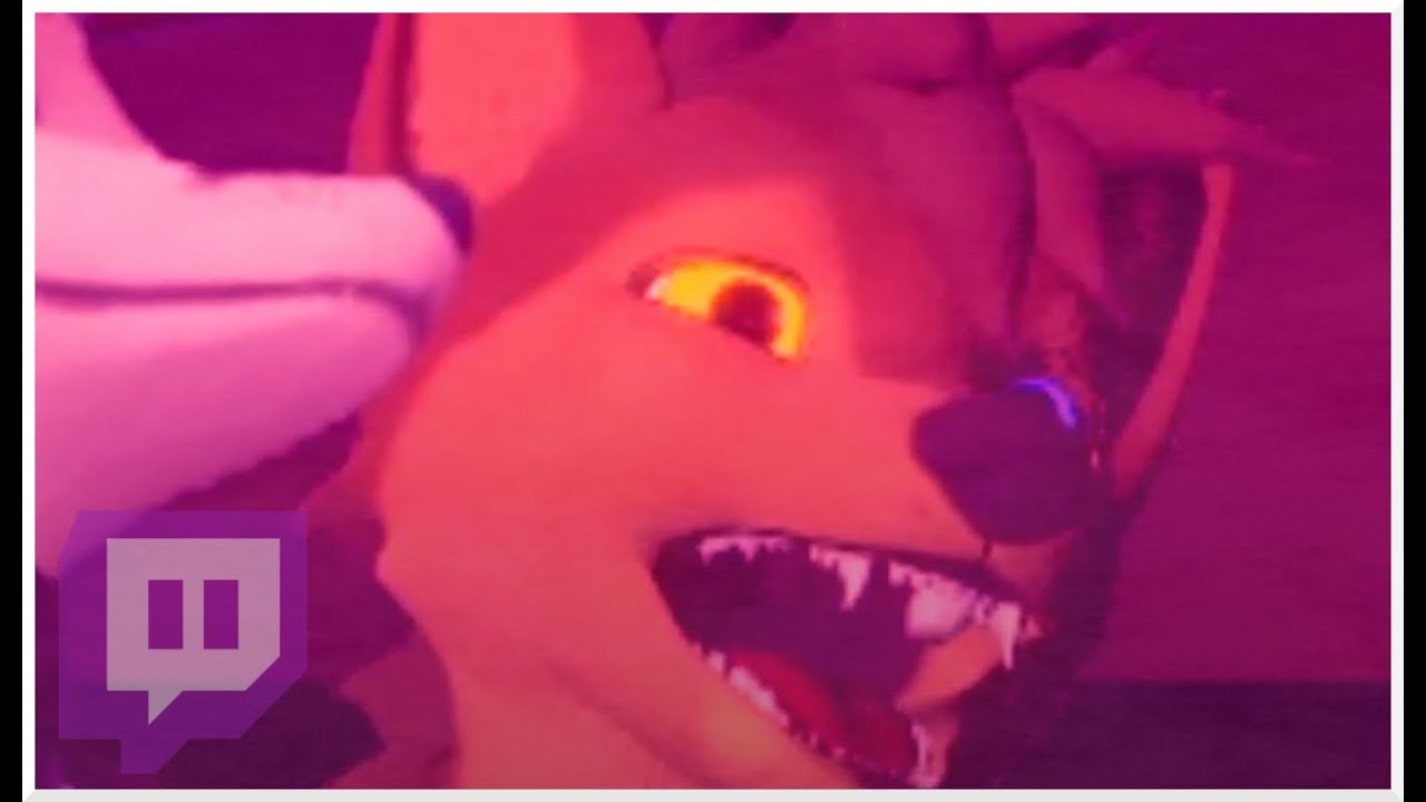 When the Good Boy gets praise - YouTube