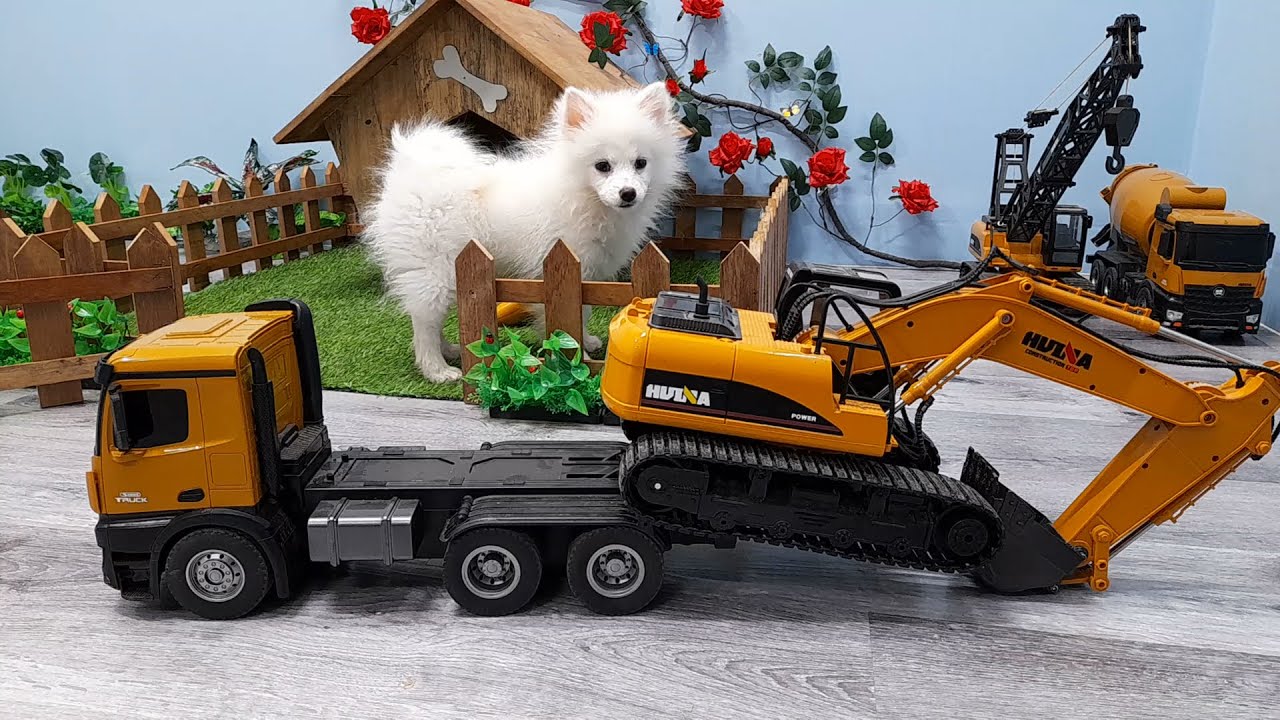 Little Dog Driving a Car Driving an Excavator Harvesting Carrots - YouTube