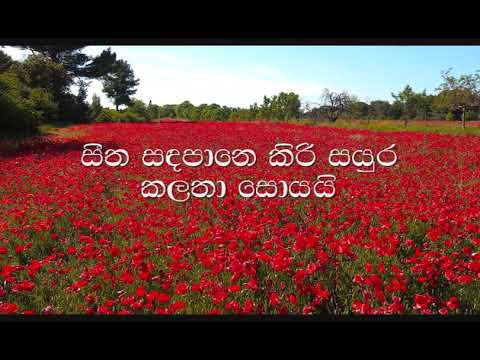 Mage Mathake Obe Ruwa Ande Karaoke (without voice )මාගෙ මතකේ ඔබේ රුව ...