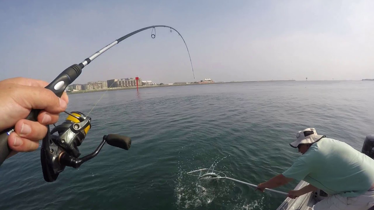 Durban Harbour Lure Fishing - YouTube
