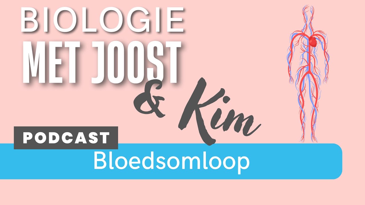 Podcast | Bloedsomloop | Biologie met Joost en Kim - YouTube