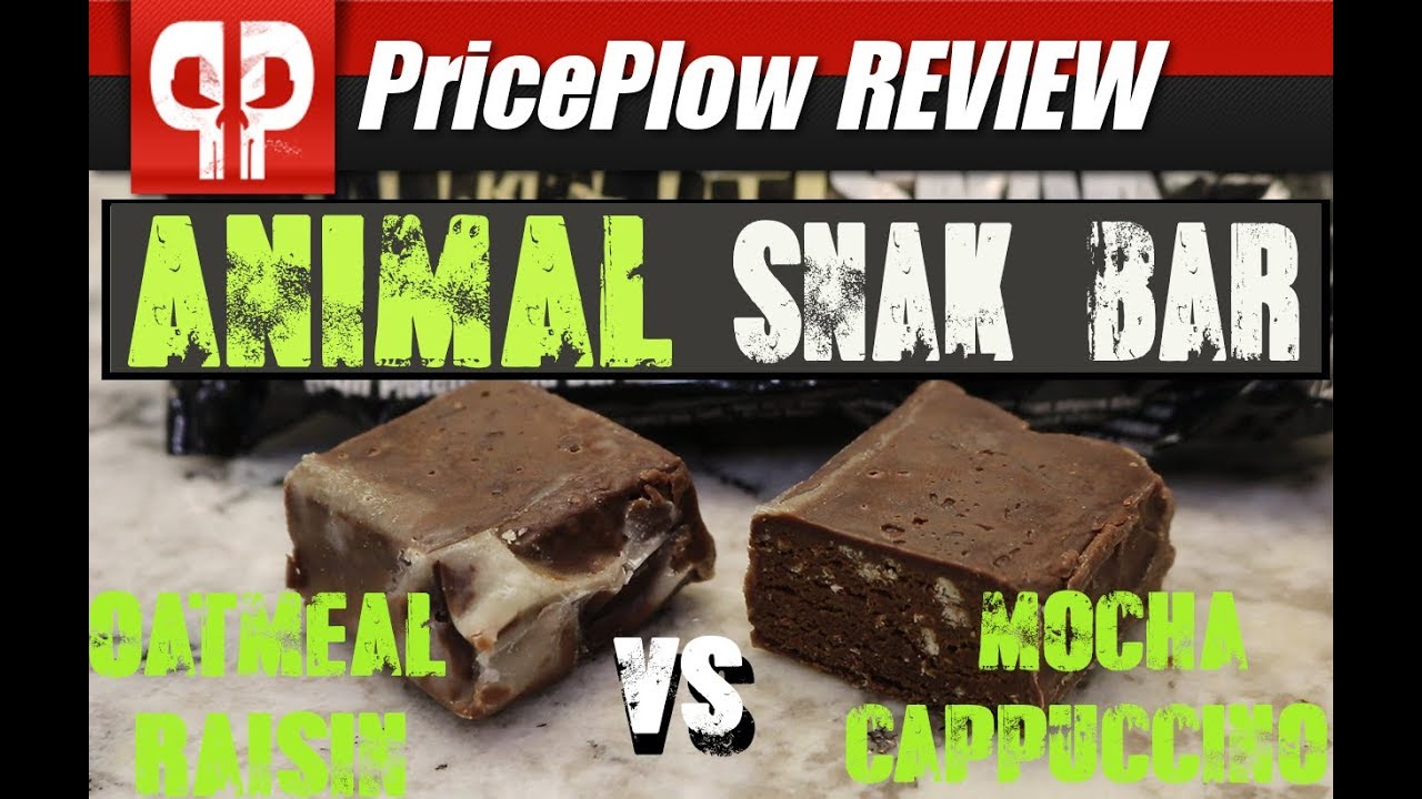 Animal Snak Bar New Flavor Review! Oatmeal Raisin & Mocha Cappuccino ...