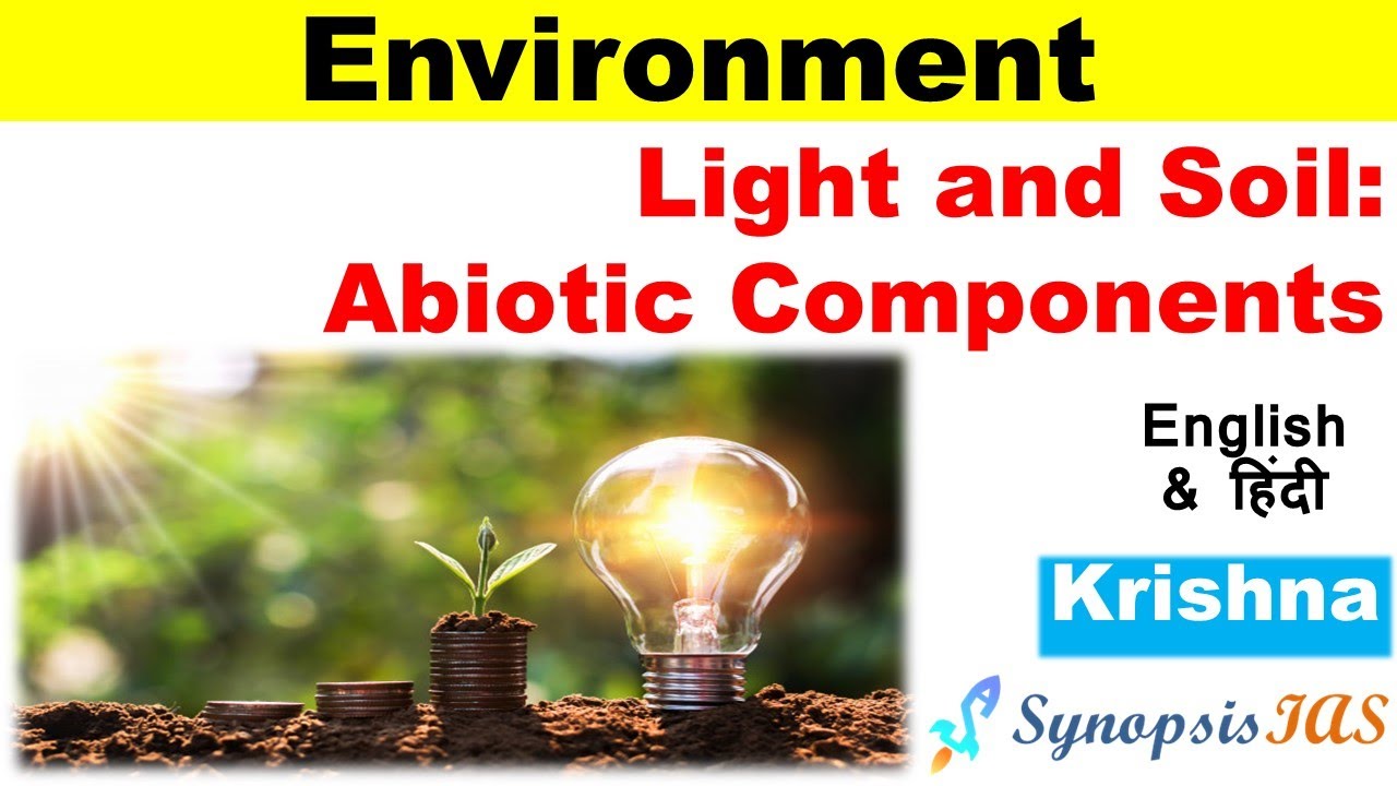 Environment L9 Light and Soil : Abiotic Components | प्रकाश और मिट्टी ...