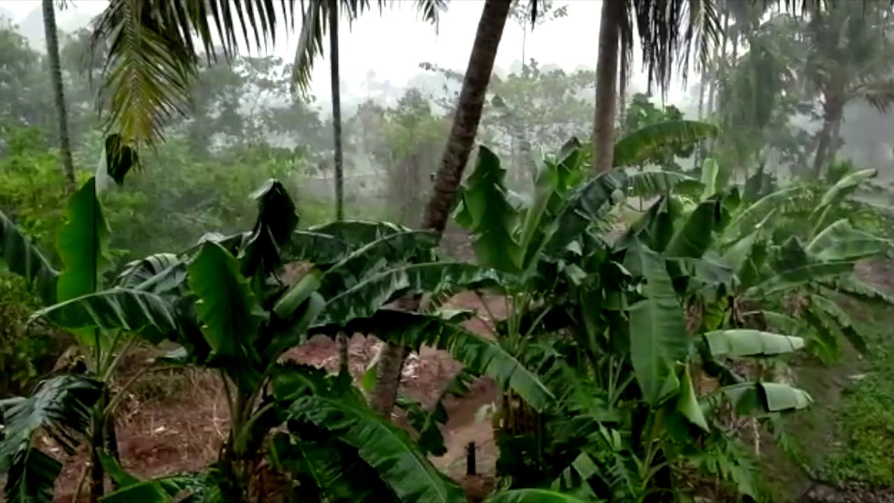 Supper Mazha | RAIN | KERALA | Travel With Tony - YouTube