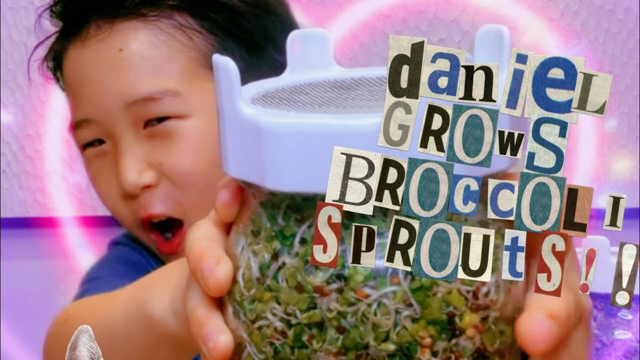 Daniel grows Broccoli Sprouts 🌱 @sunandsprouts - YouTube