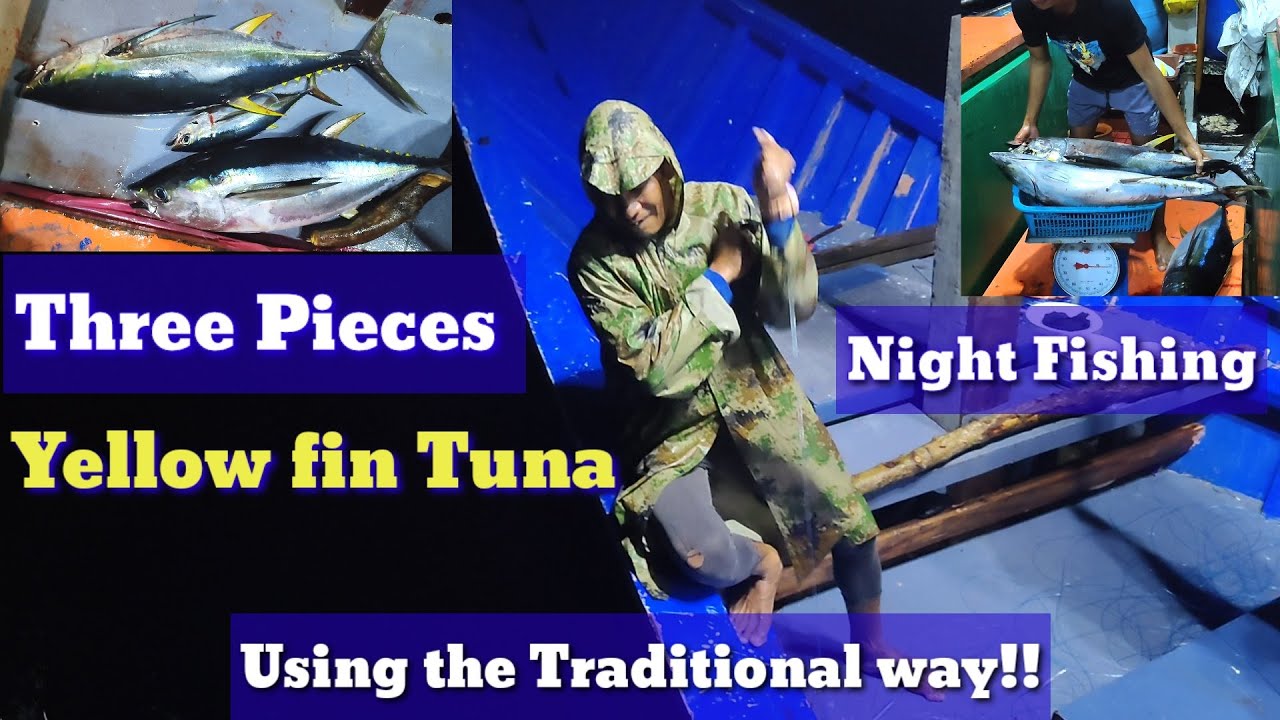 Laot ng Surigao part 6 | Three pieces Yellow fin Tuna | Night Fishing ...