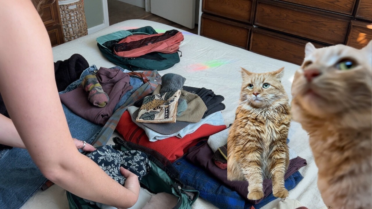 Packing and Cats | Packing For An Adventure in Seattle, Washington ...